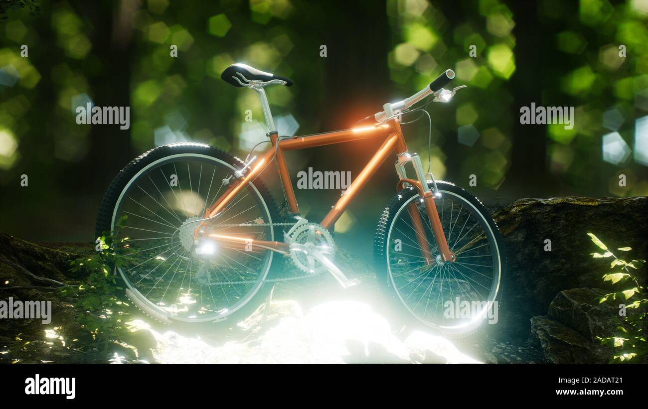 Mountain bike on the forest path Stock Photo - Alamy