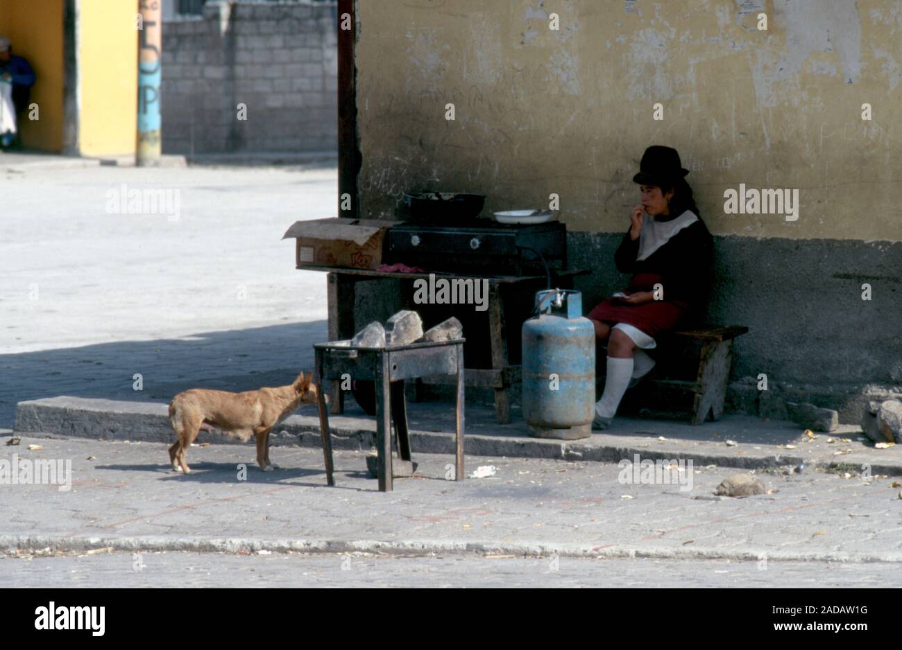 An indigenous, ethnic Quichua (Quechua) street food vendor from a small ...