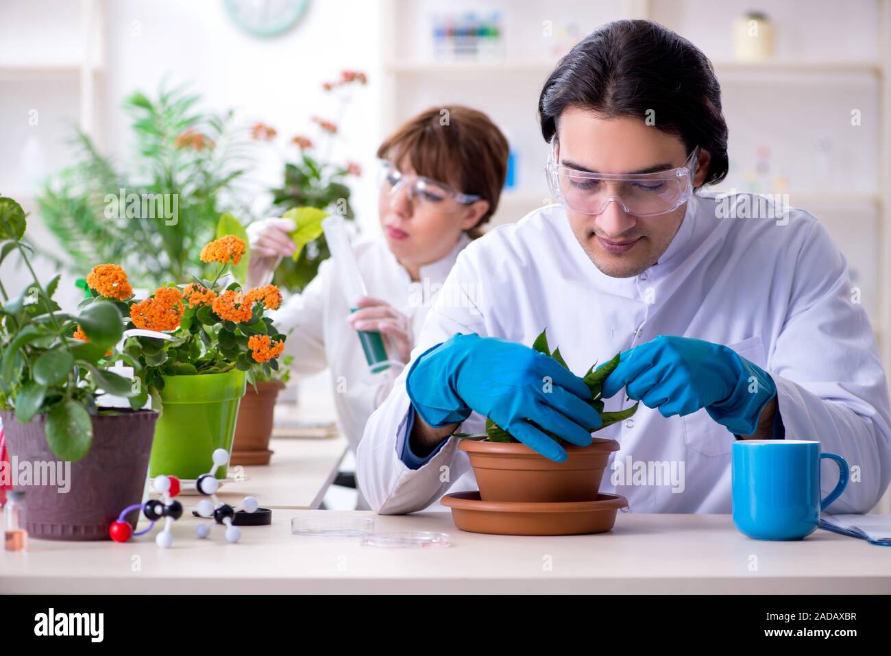 Lab wo hi-res stock photography and images - Alamy