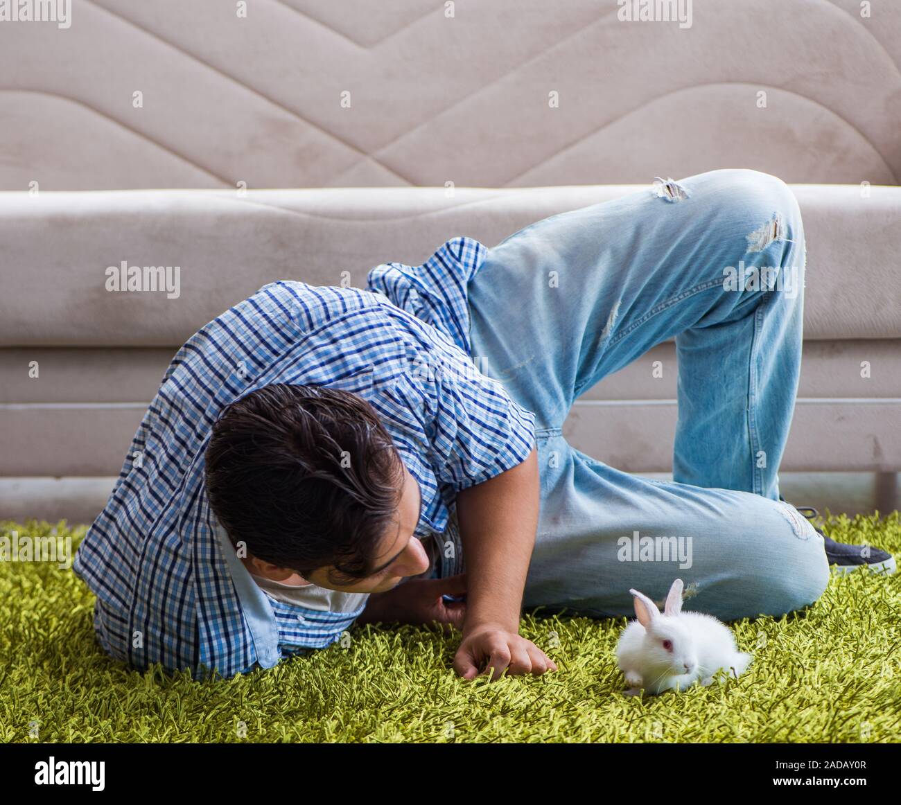 Boy feeding rabbit hi-res stock photography and images - Alamy