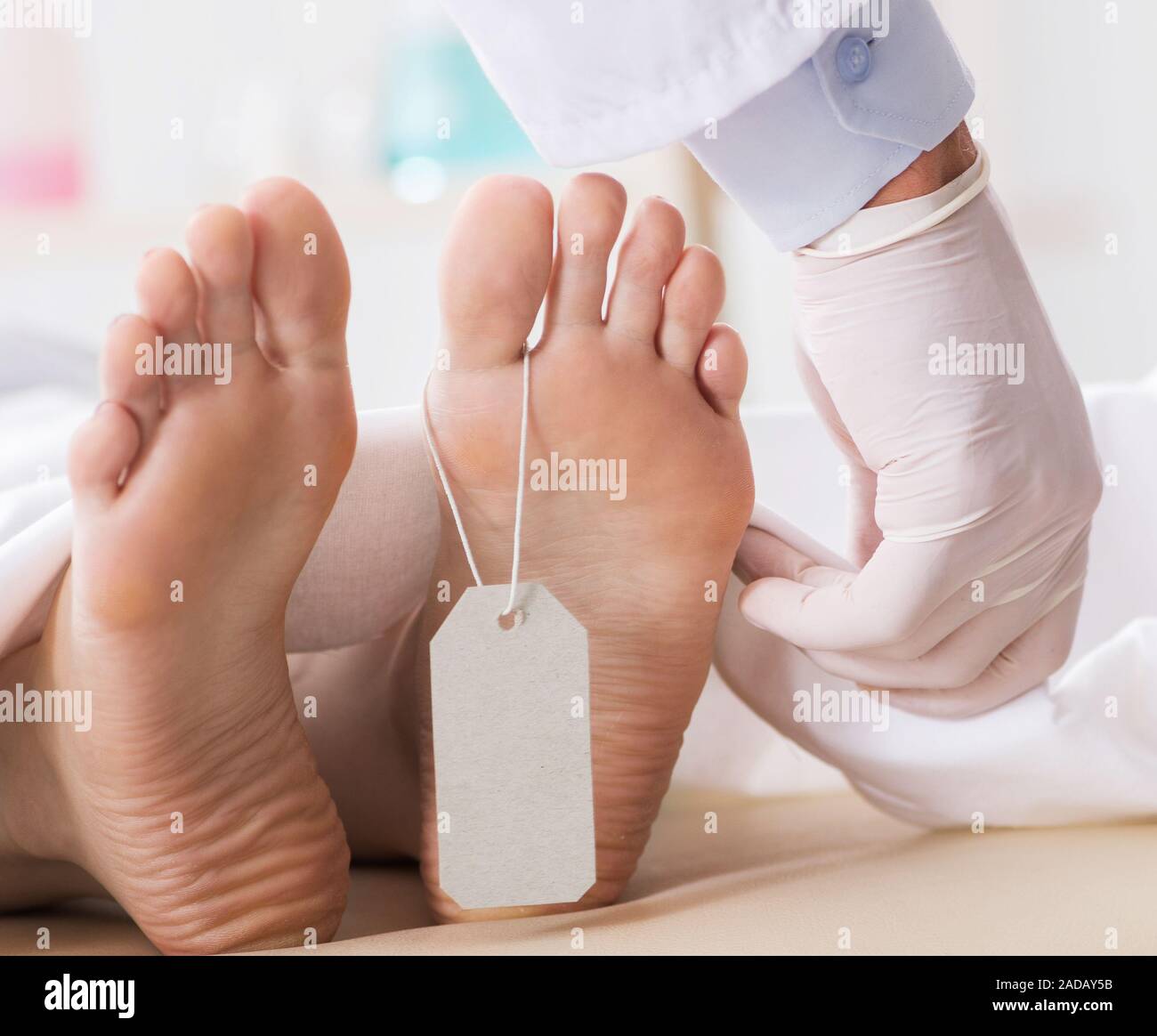 Police coroner examining dead body corpse in morgue Stock Photo - Alamy