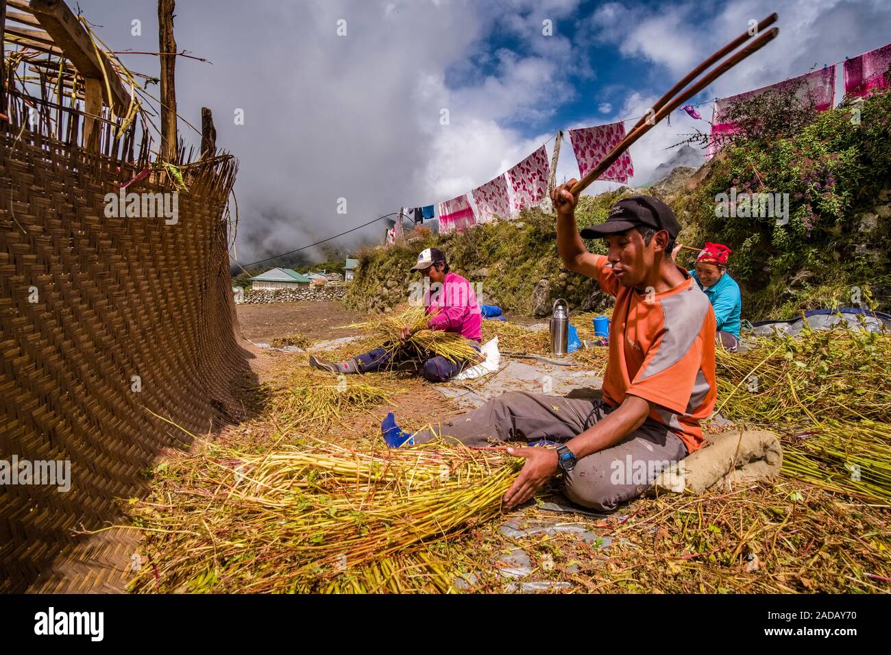 Farmers threshing hi-res stock photography and images - Alamy