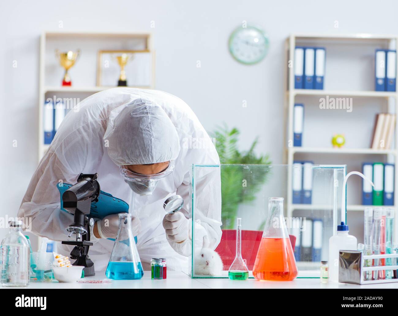 Scientist doing animal experiment in lab with rabbit Stock Photo - Alamy