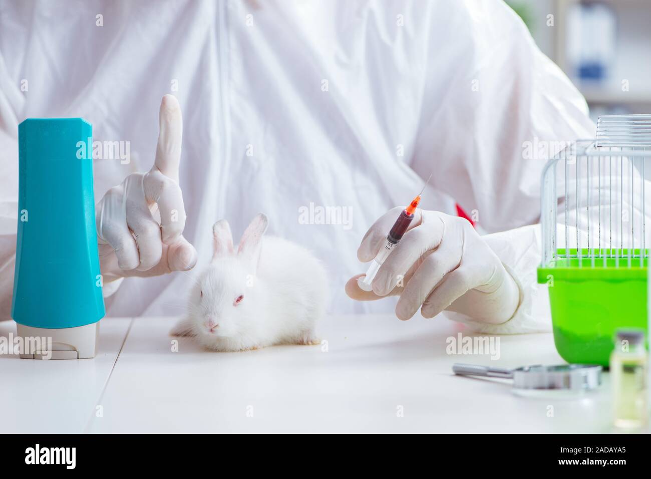 Rabbit testing lab hi-res stock photography and images - Alamy