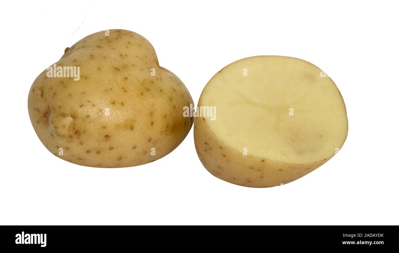 Potato and its section isolated on white background Stock Photo - Alamy