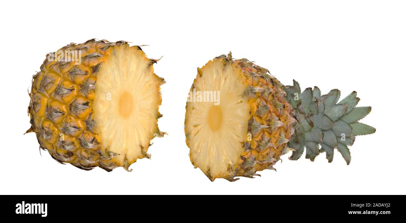 Sections of pineapple isolated on white background Stock Photo - Alamy