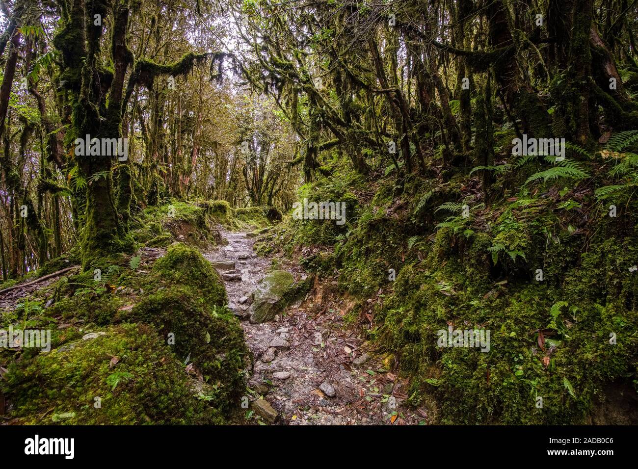 Surki hi-res stock photography and images - Alamy