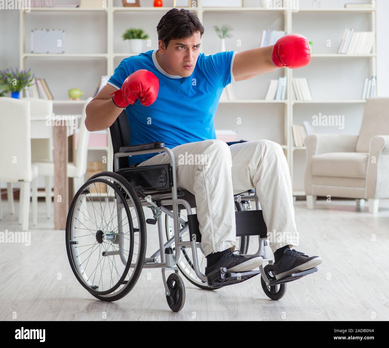 Disabled boxer at wheelchair recovering from injury Stock Photo - Alamy