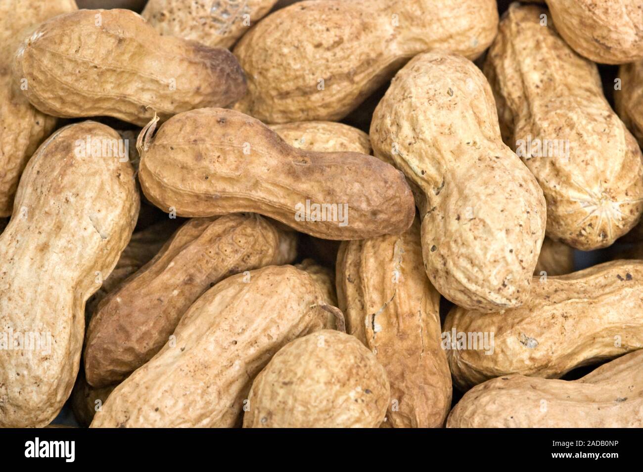 Pile of peanuts Stock Photo - Alamy