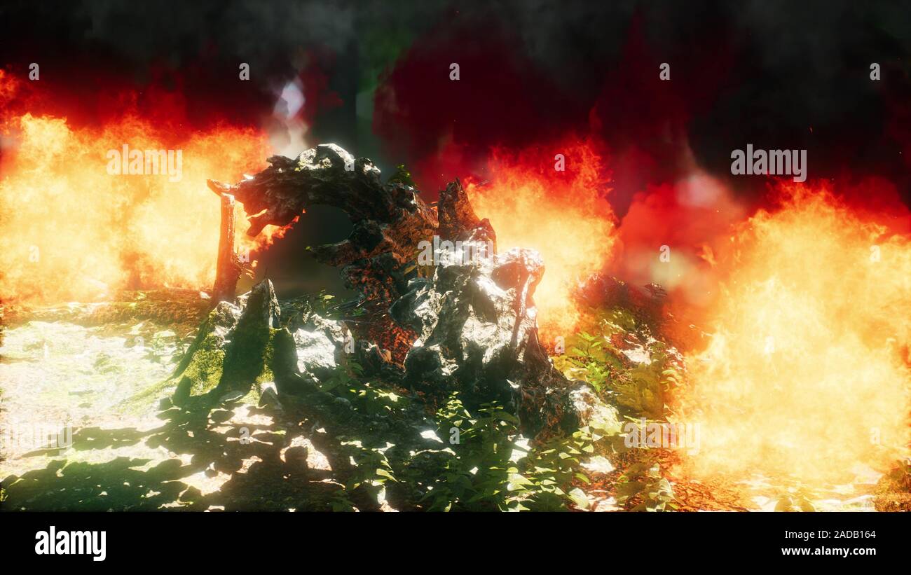 Wind blowing on a flaming trees during a forest fire Stock Photo - Alamy