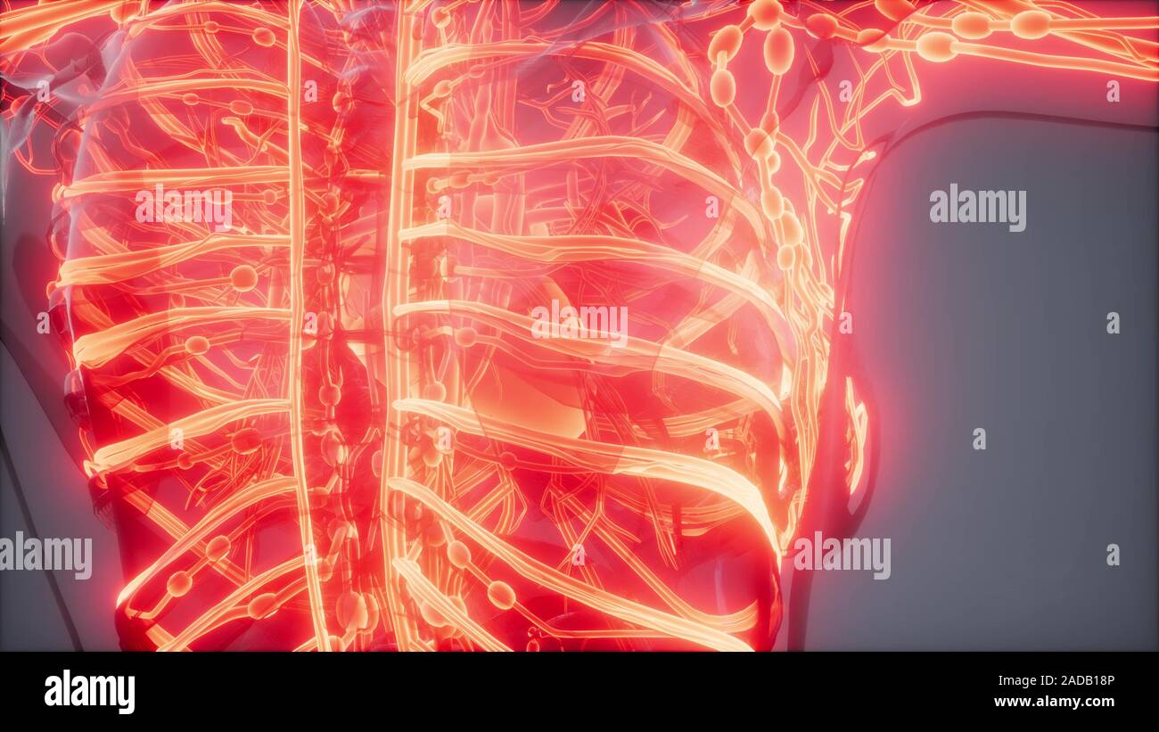 3d animation red blood cells hi-res stock photography and images - Alamy