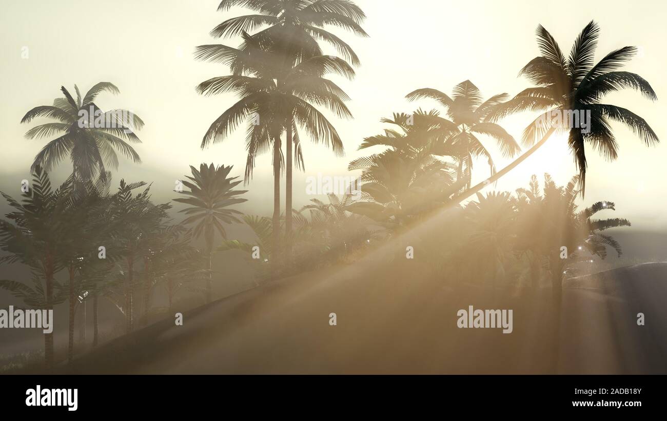 Coco palm trees tropical landscape Stock Photo - Alamy