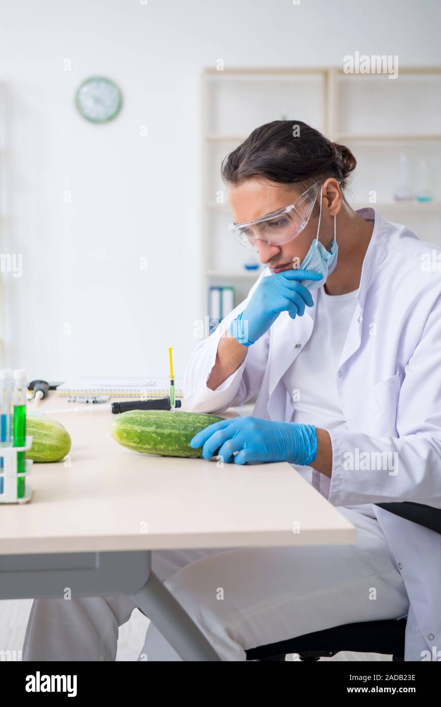 Male nutrition expert testing vegetables in lab Stock Photo - Alamy