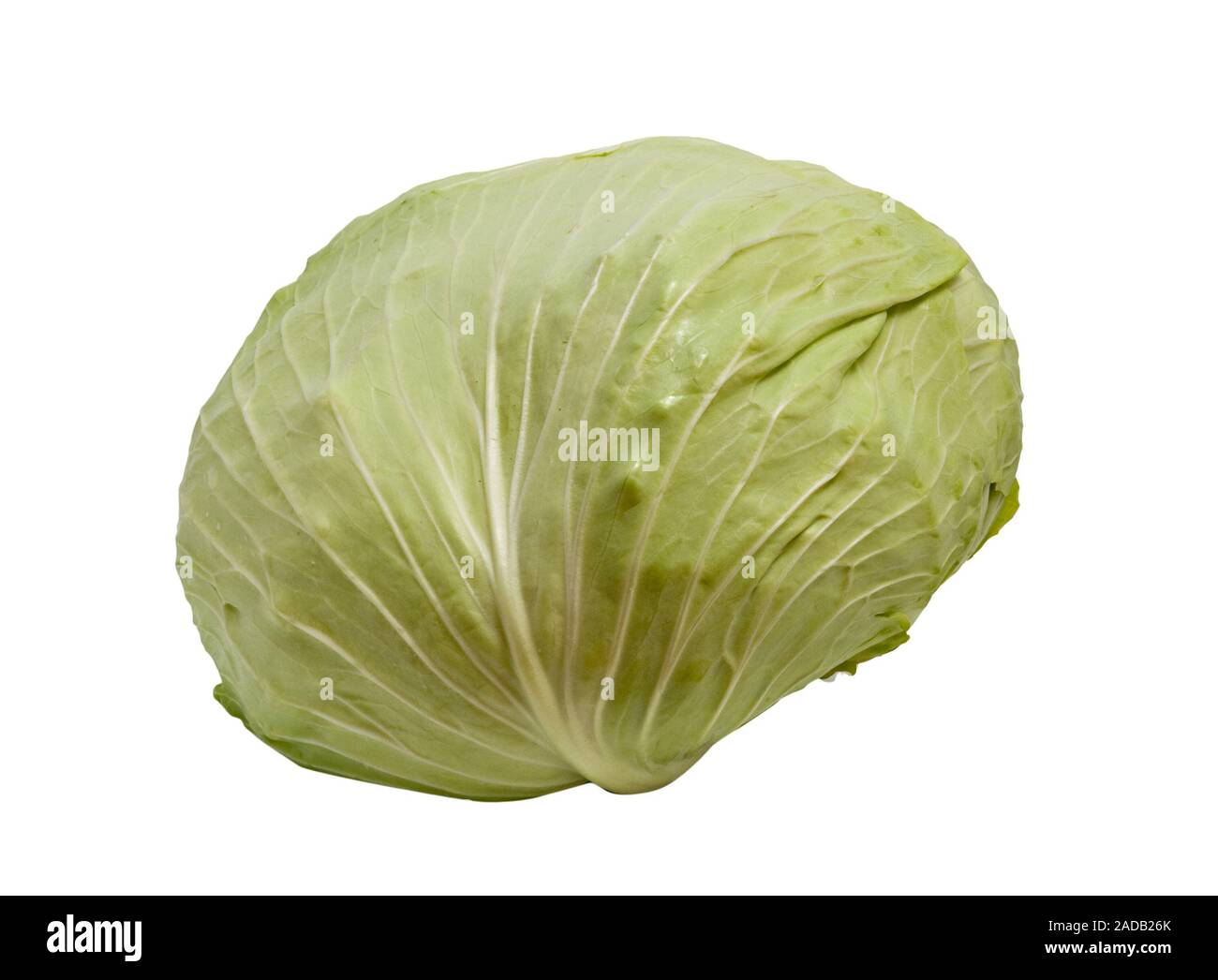 Cabbage isolated on white background Stock Photo - Alamy