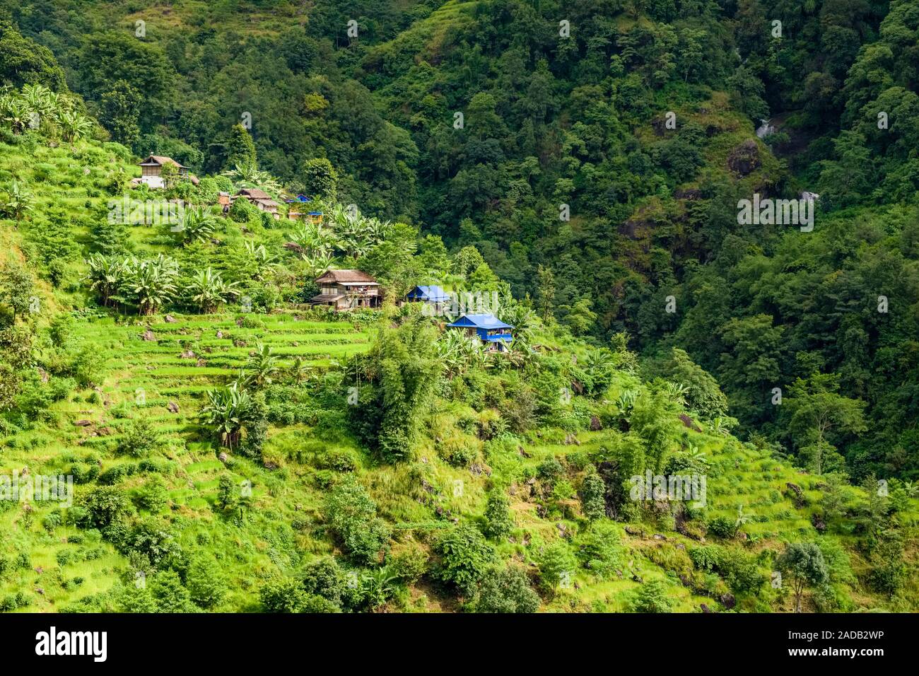 Terrace farming steep hi-res stock photography and images - Alamy