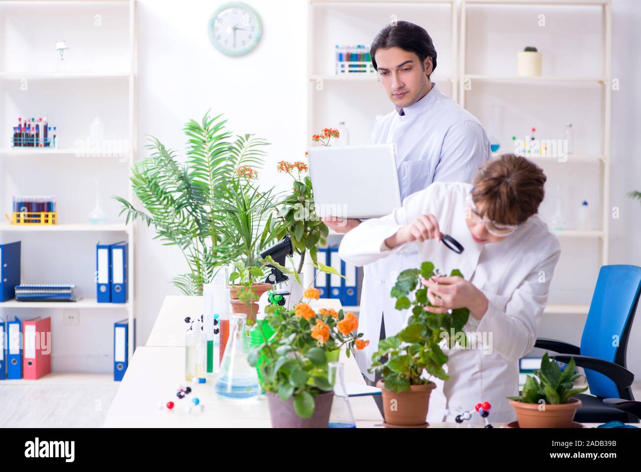 Scientist magnifying glass leaf hi-res stock photography and images - Alamy
