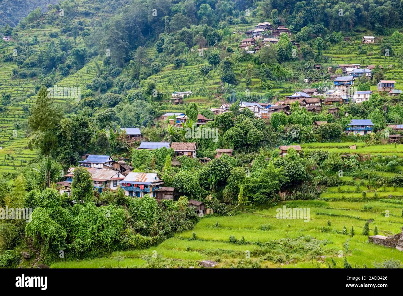 Terrace farming steep hi-res stock photography and images - Alamy
