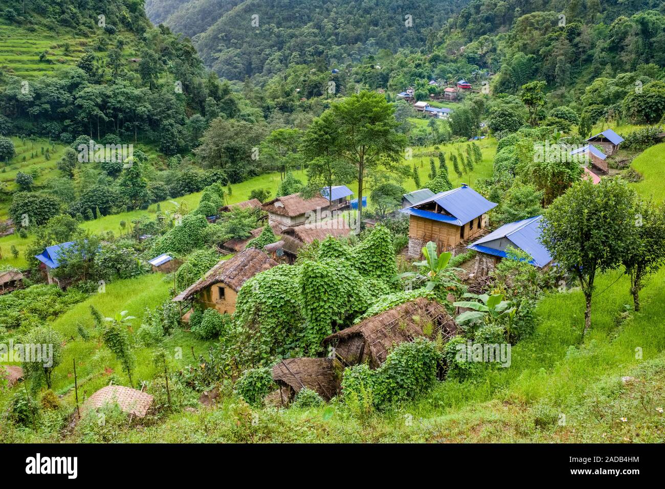 Terrace farming steep hi-res stock photography and images - Alamy