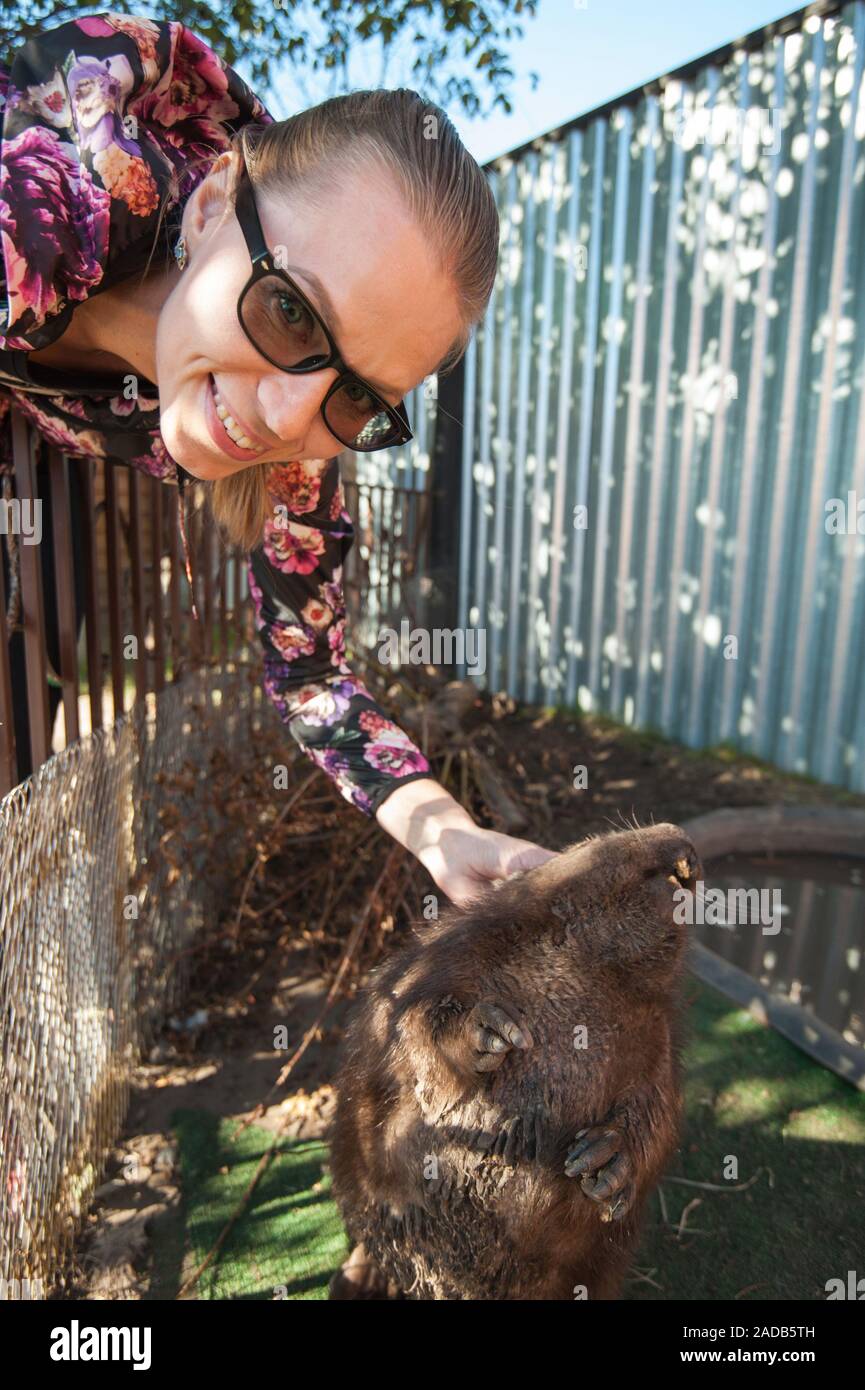 Long hair girl at petting zoo hi-res stock photography and images - Alamy
