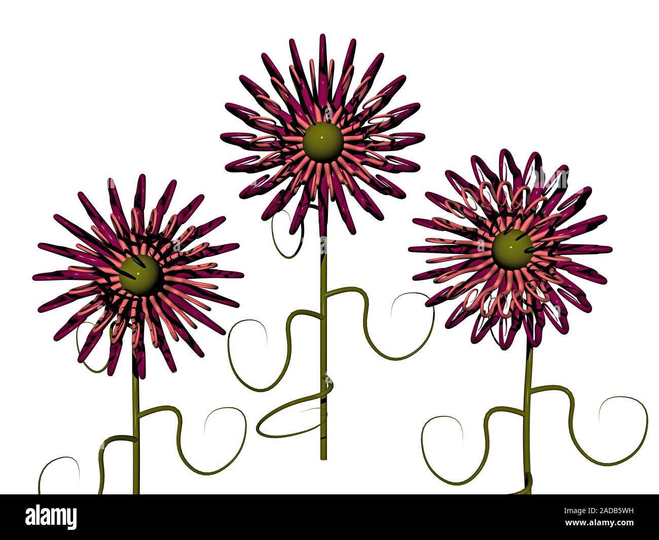 Cartoon of garden flowers hi-res stock photography and images - Alamy