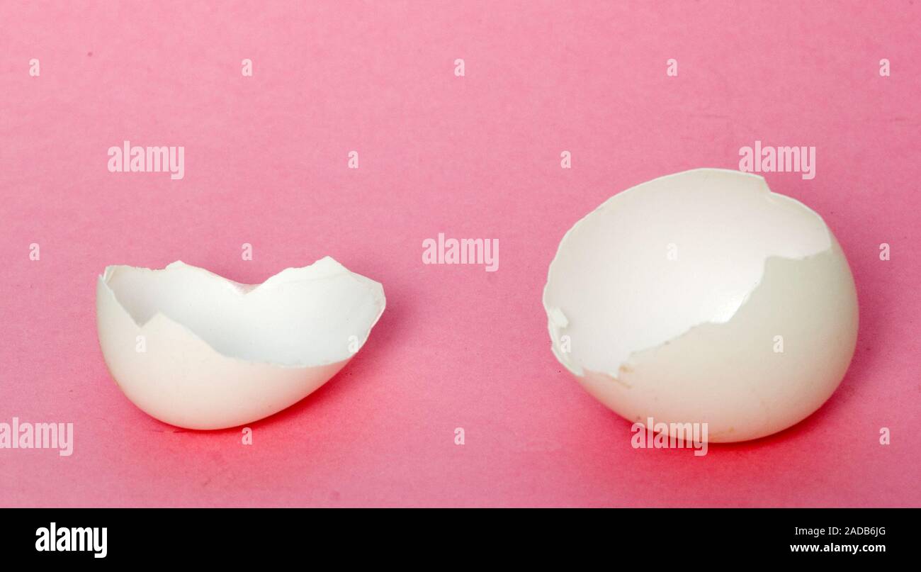 Closeup egg shells hi-res stock photography and images - Alamy