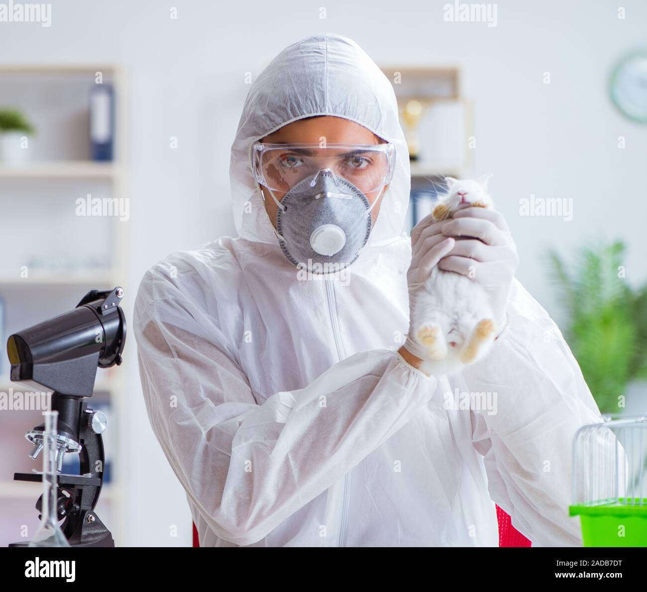 Scientist doing animal experiment in lab with rabbit Stock Photo - Alamy