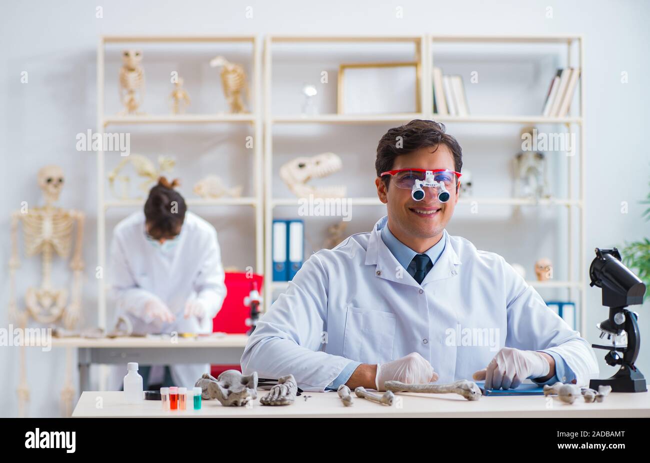 Professor studying human skeleton in lab Stock Photo - Alamy