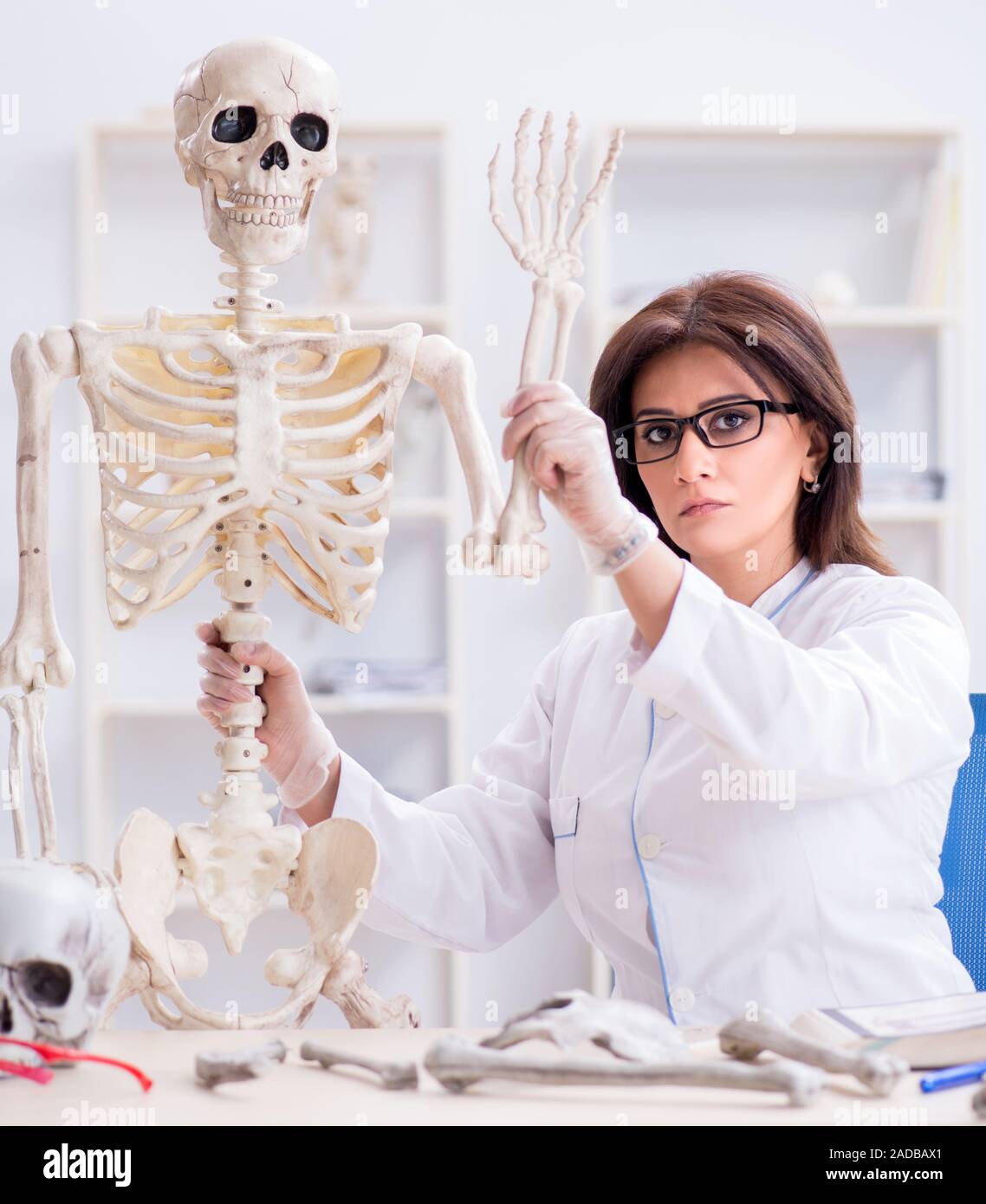 Lab skeleton hi-res stock photography and images - Alamy