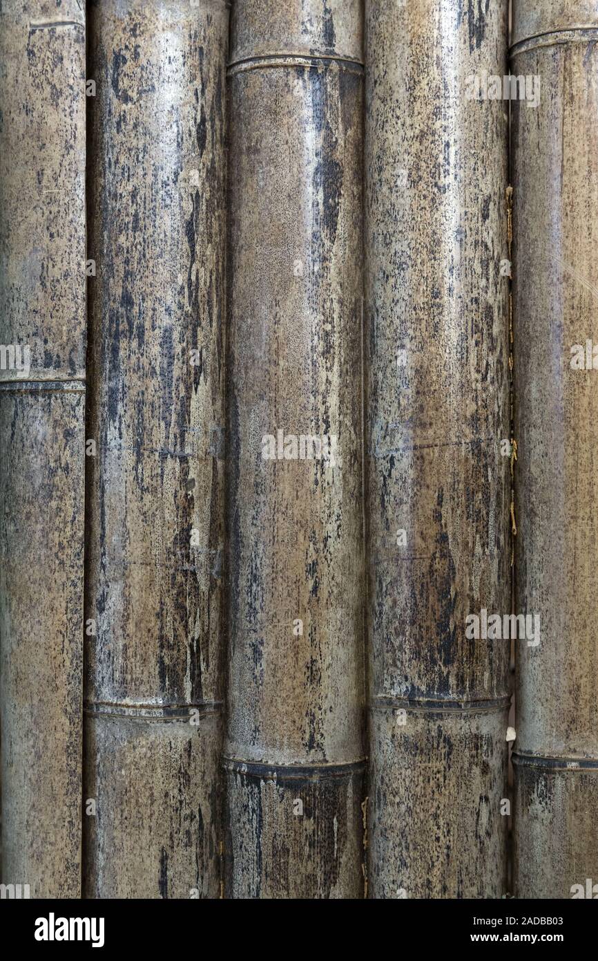 Dried bamboo as background Stock Photo - Alamy
