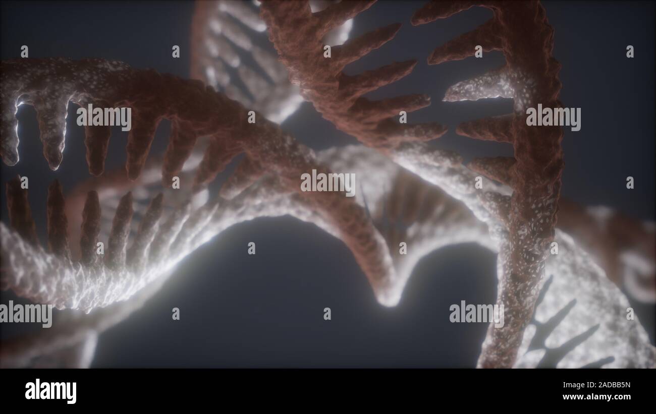 Loop double helical structure dna hi-res stock photography and images ...
