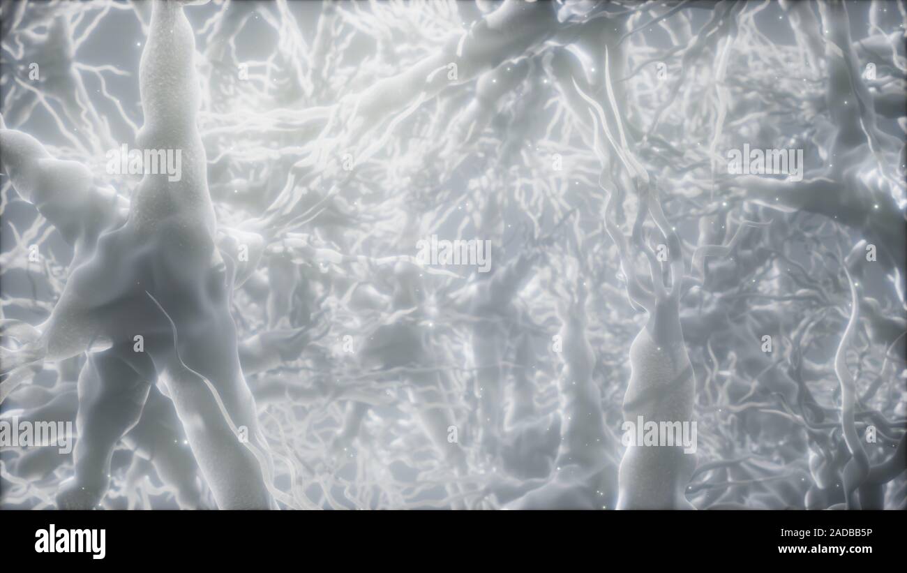 Journey through a neuron cell network inside the brain Stock Photo - Alamy