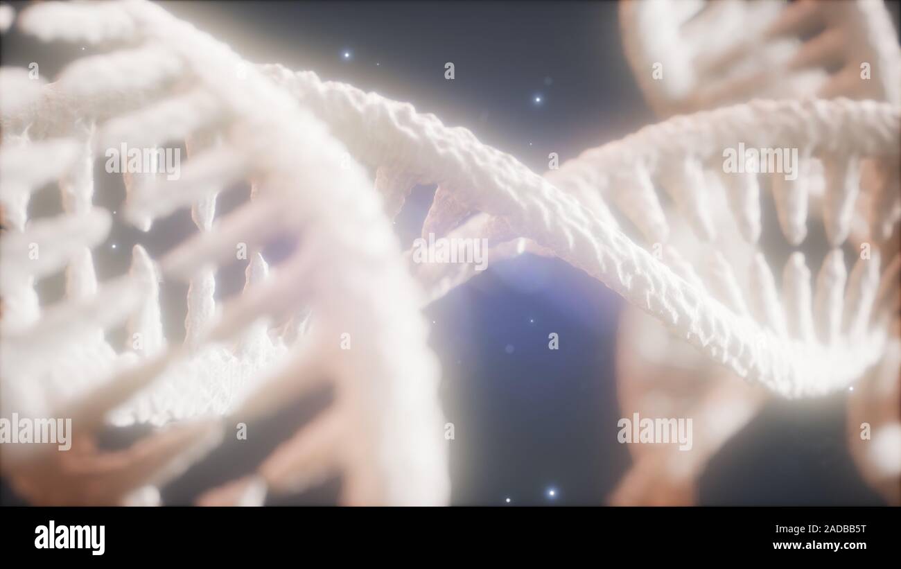 double helical structure of dna strand close-up animation Stock Photo ...