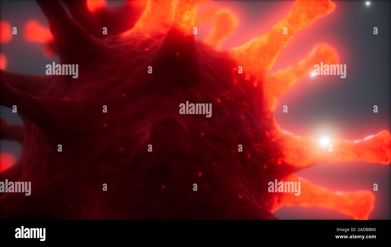 Helicobacter pylori microscope hi-res stock photography and images - Alamy