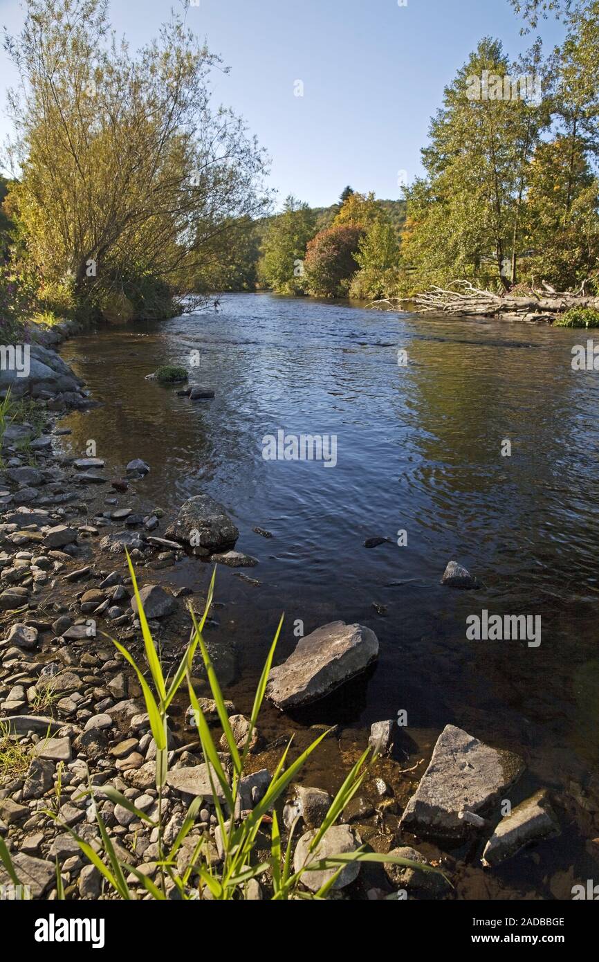 Ruhr river, Meschede, Sauerland, North Rhine-Westphalia, germany ...