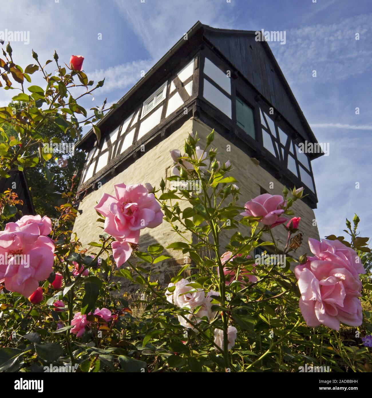 romantic garden with the storage house, rose village Assinghausen ...