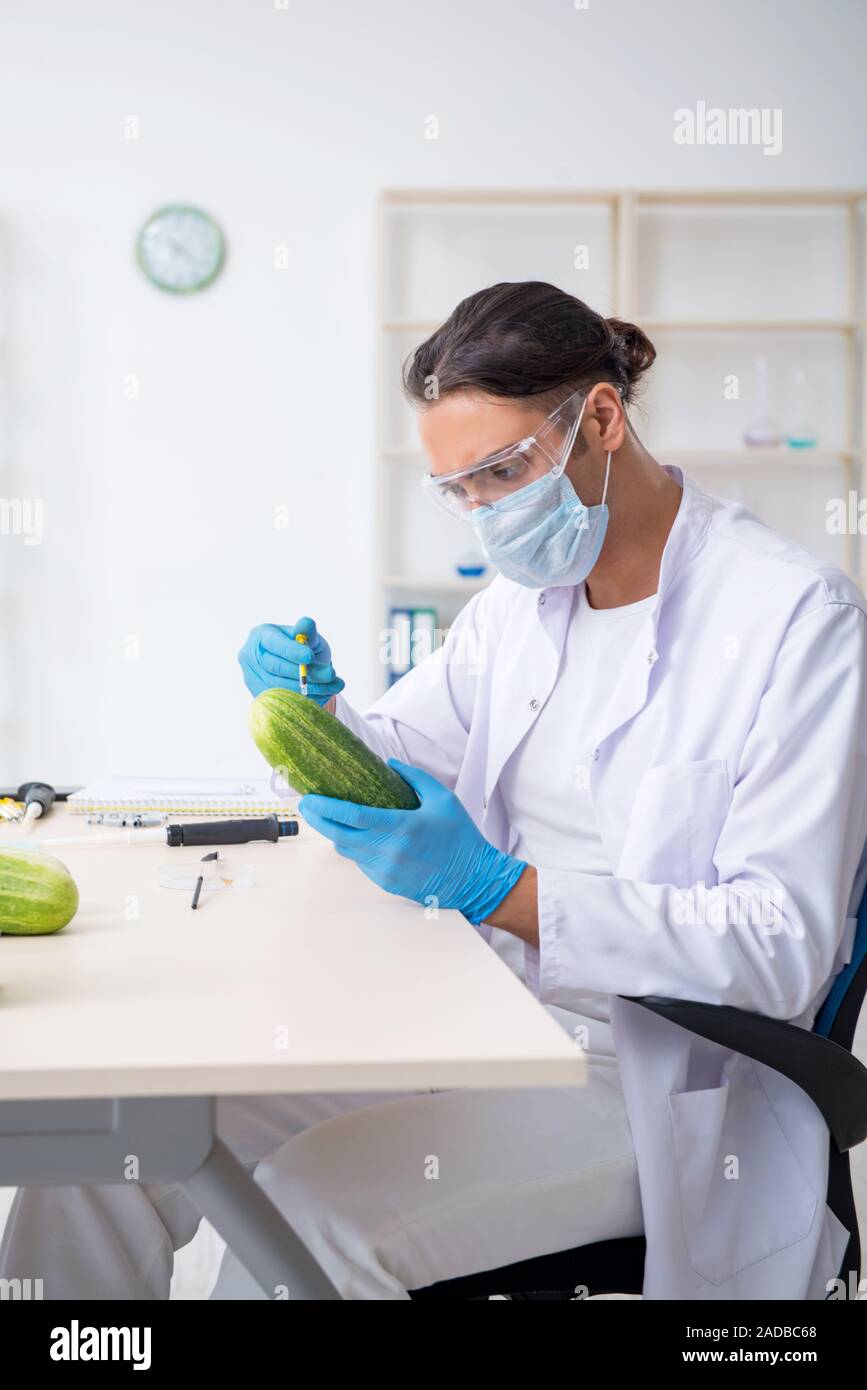Male nutrition expert testing vegetables in lab Stock Photo - Alamy
