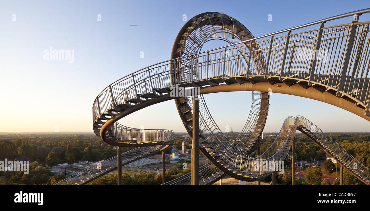Tiger and Turtle - Magic Mountain, art sculpture and landmark ...
