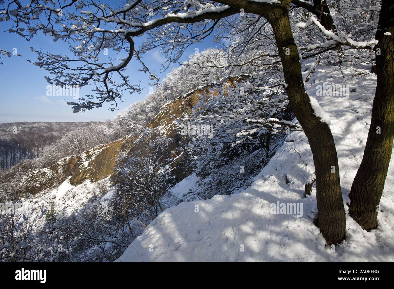 Wartenberg hi-res stock photography and images - Alamy