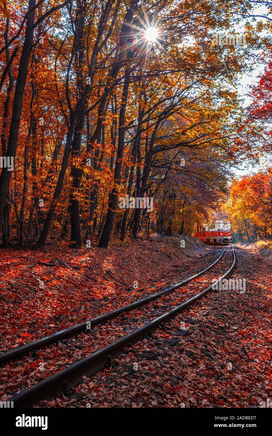 Budapest, Hungary - Autumn scenery in the Hungarian woods of Huvosvolgy ...