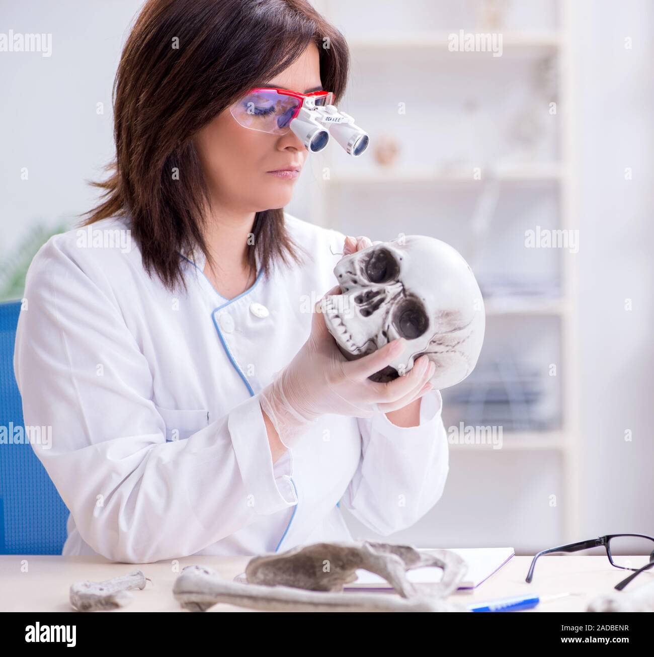 Doctor working in the lab on skeleton Stock Photo - Alamy