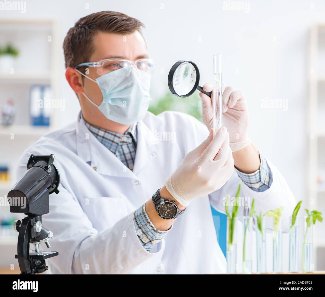 Male biochemist working in the lab on plants Stock Photo - Alamy