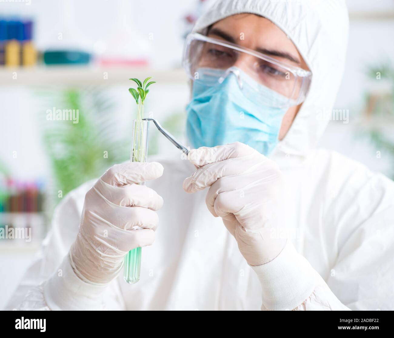 Male biochemist working in the lab on plants Stock Photo - Alamy