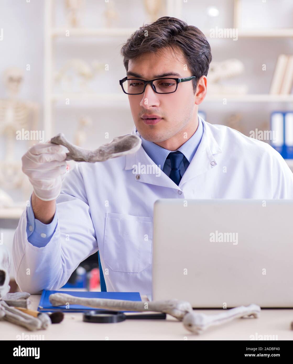 Professor studying human skeleton in lab Stock Photo - Alamy