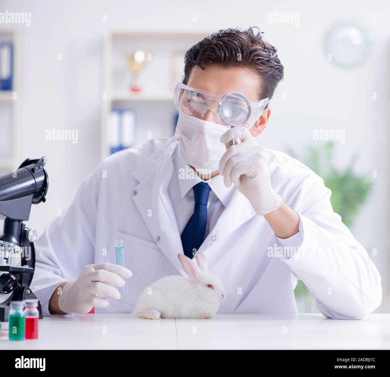Vet doctor examining rabbit in pet hospital Stock Photo - Alamy