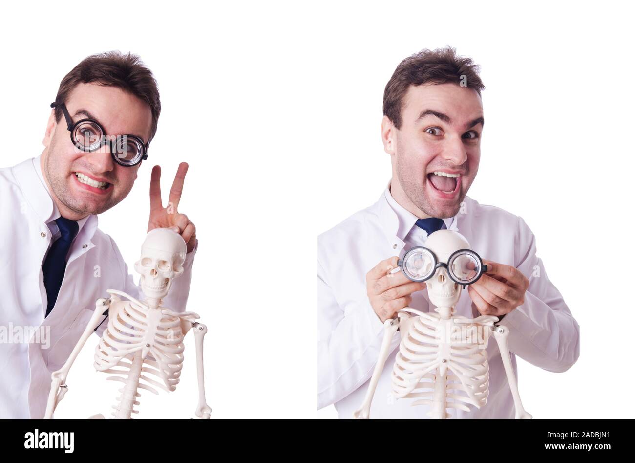 Various skeletal bones hi-res stock photography and images - Alamy