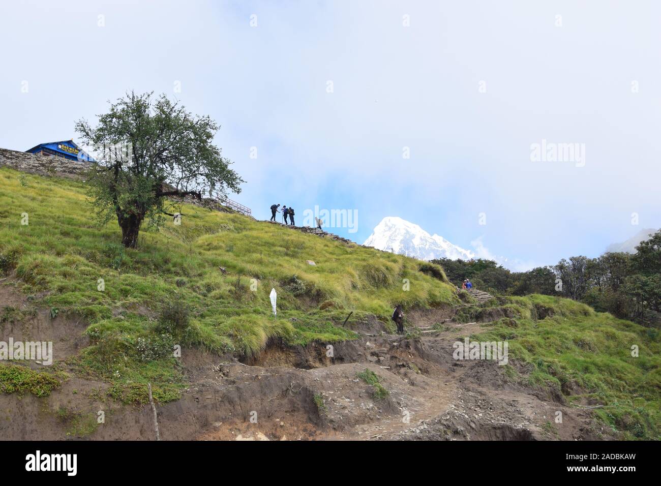 Mardi Himal Trek Nepal Stock Photo - Alamy