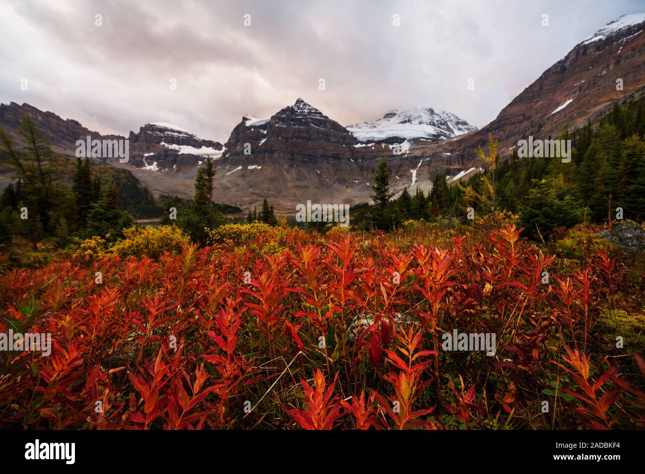 Autumn in Canada Stock Photo - Alamy