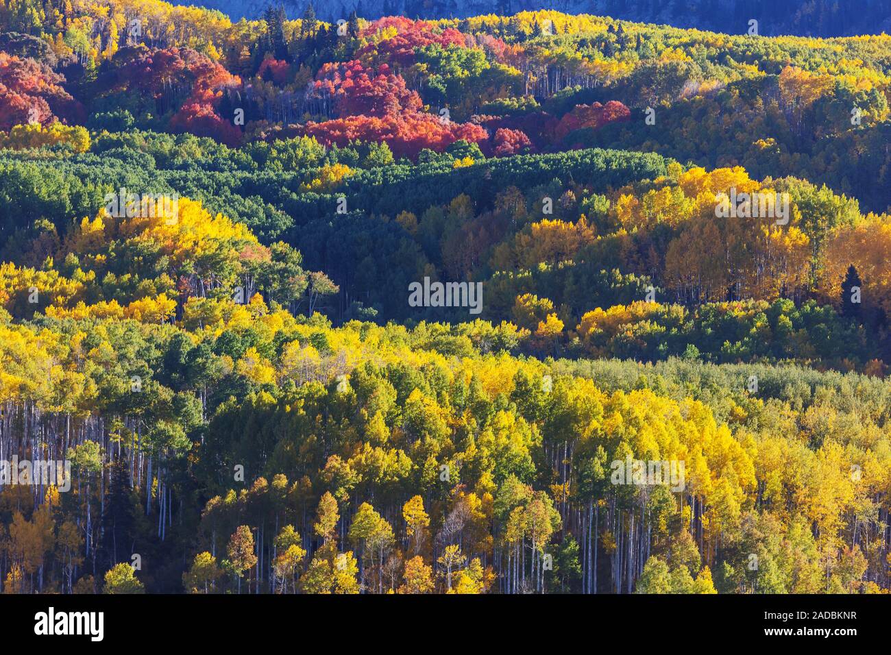 M autumn colours hi-res stock photography and images - Alamy