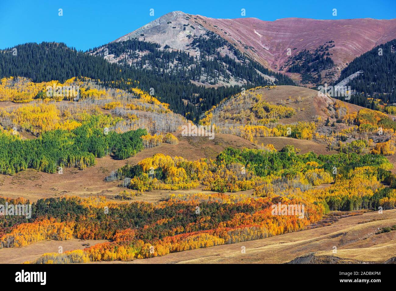 Autumn in Colorado Stock Photo - Alamy