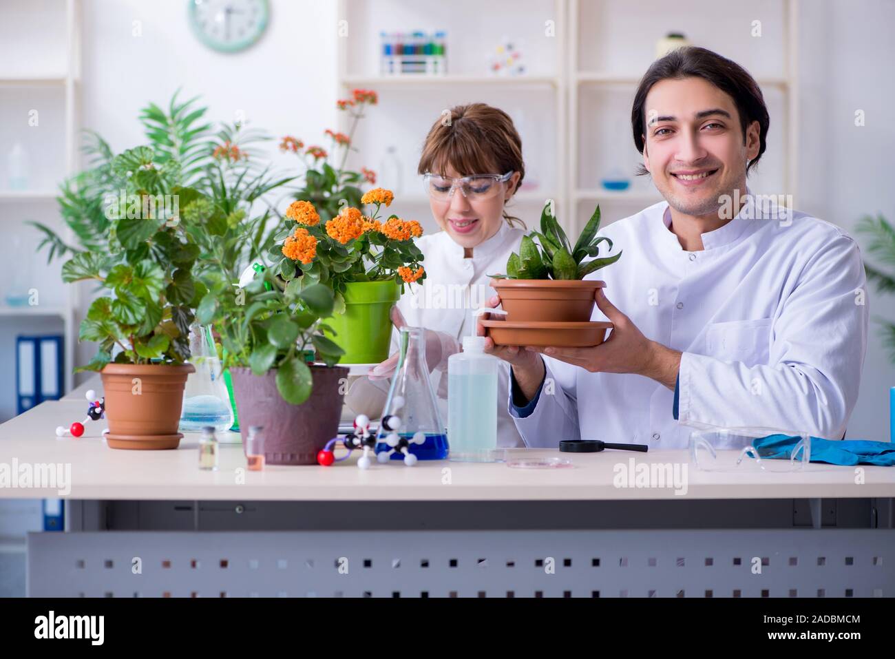 Two young botanist working in the lab Stock Photo - Alamy